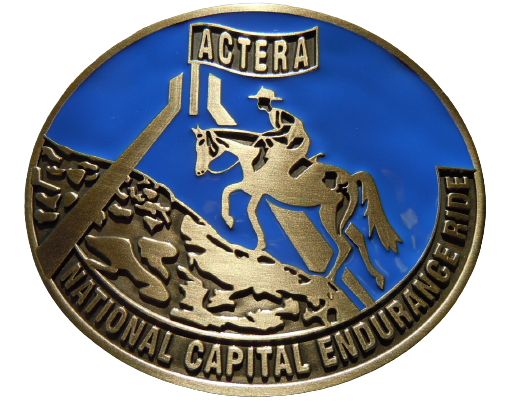 ACTERA